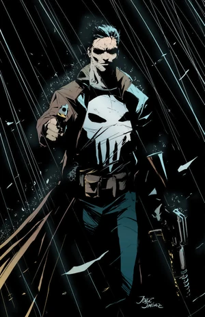 The Punisher | Character Profile Wikia | Fandom