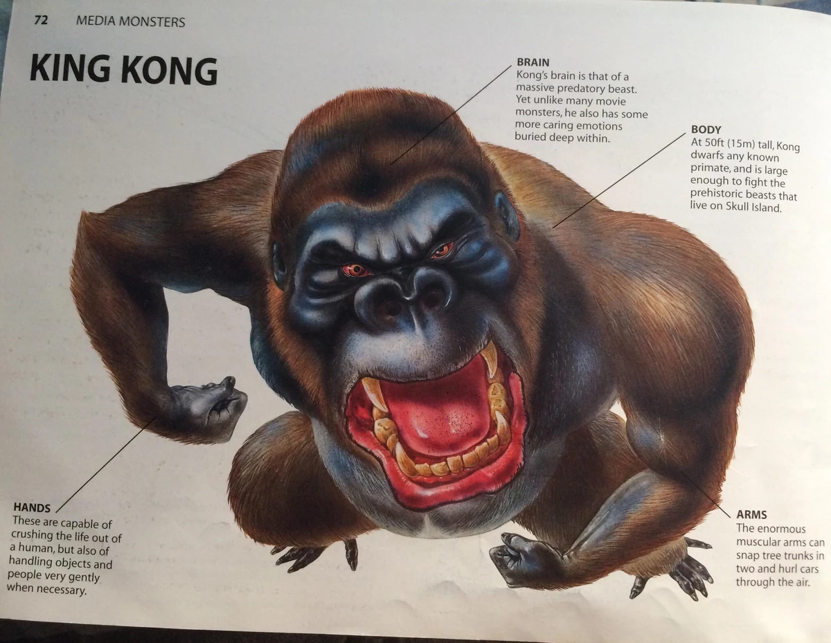 King Kong (Creature) | Characters, Creatures, Animals, & Miscellaneous Wiki | Fandom