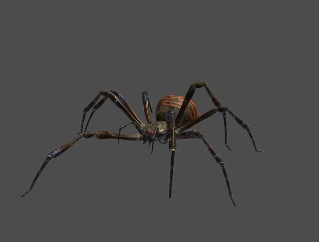 Consuela (Eight Legged Freaks) | Characters Human Names Wiki | Fandom