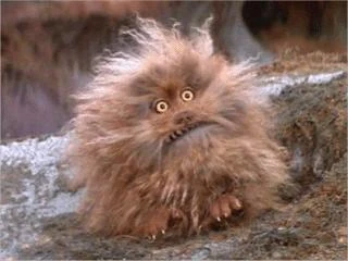 Fizzgig | Characters in Fiction Wiki | Fandom