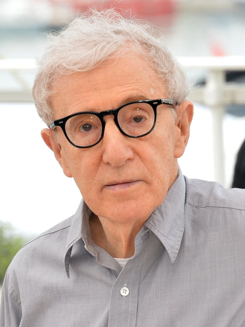 Woody Allen | Characters Media Wiki | Fandom