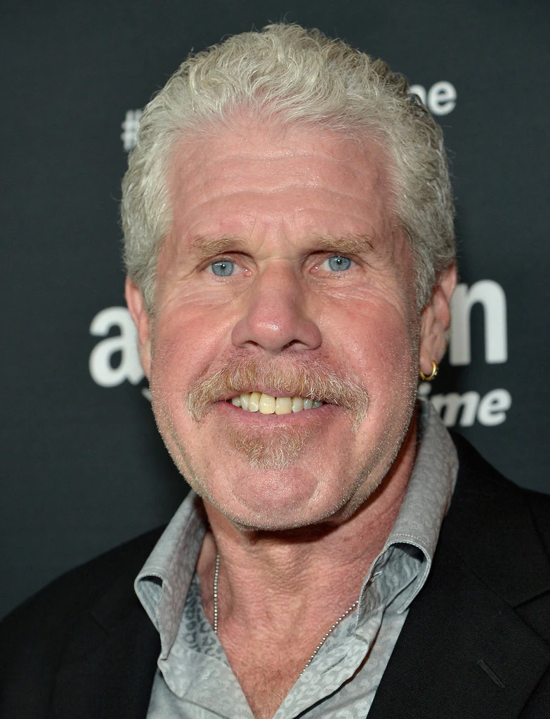 Ron Perlman | Characters Media Wiki | Fandom