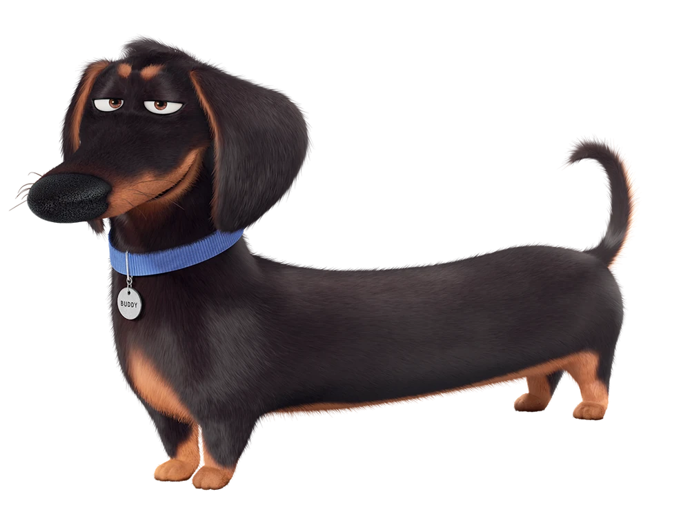 Buddy | Characters Media Wiki | Fandom