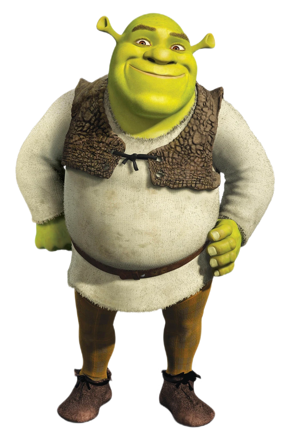 Shrek | Characters Media Wiki | Fandom