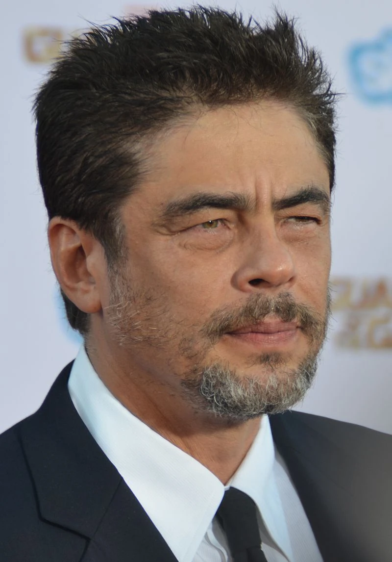 Benicio del Toro | Characters Media Wiki | Fandom