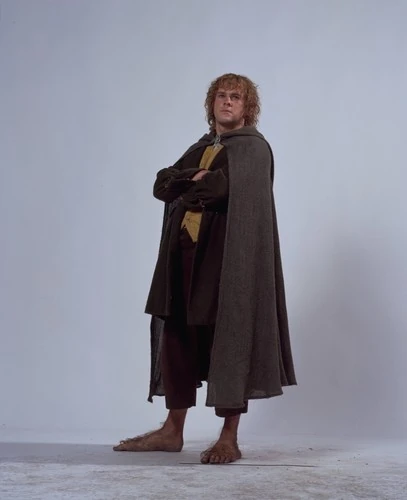 Meriadoc Brandybuck | Characters of Fiction Wiki | Fandom