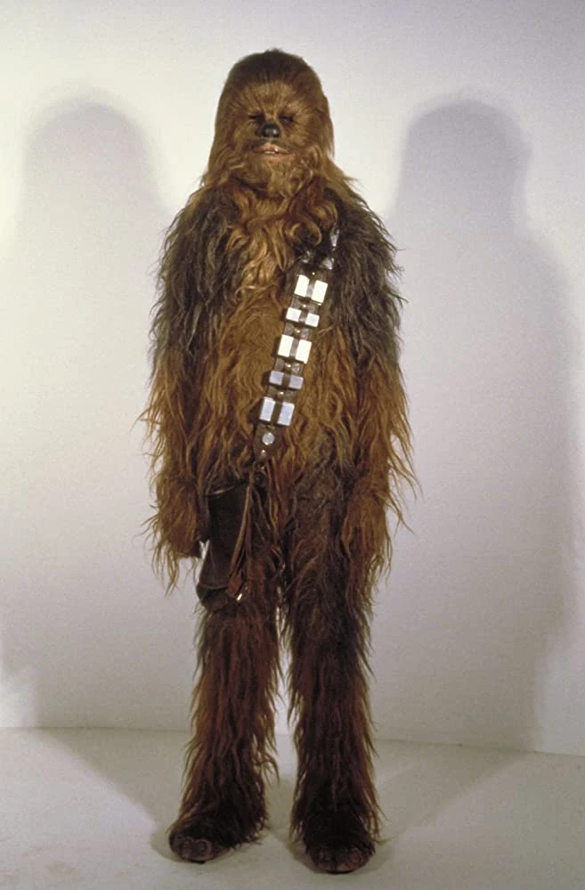 Chewbacca | Characters of Fiction Wiki | Fandom