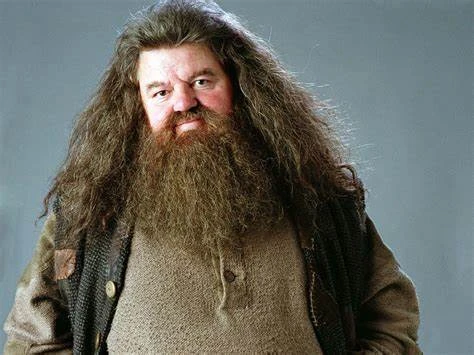 Rubeus Hagrid | Characters of Fiction Wiki | Fandom