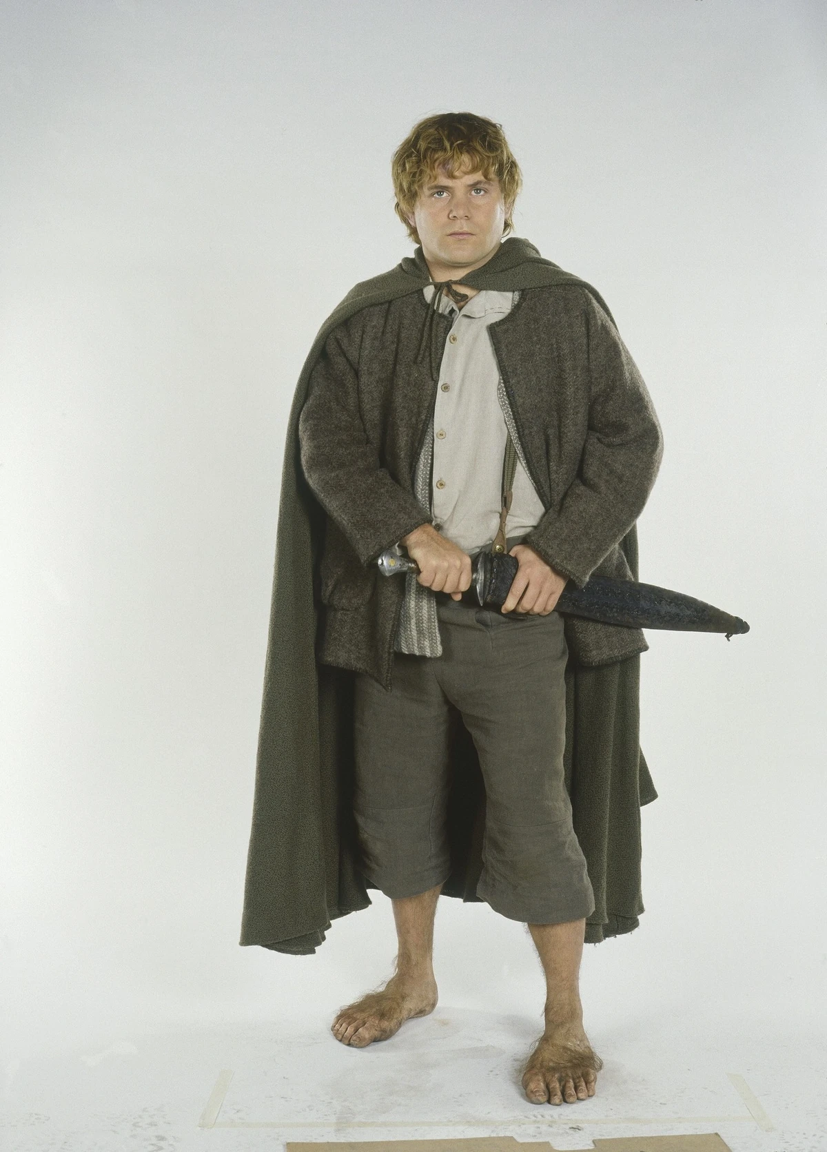 Samwise Gamgee | Characters of Fiction Wiki | Fandom