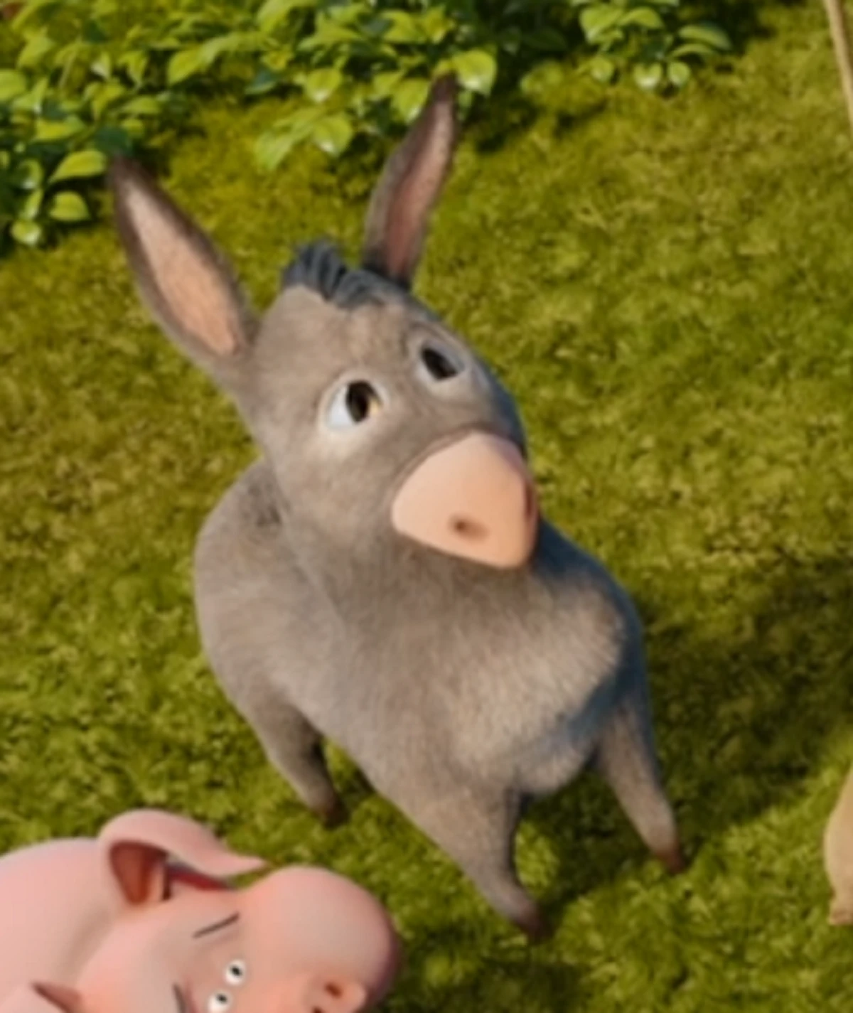 Farmyard Donkey | Fictional Characters Wiki | Fandom