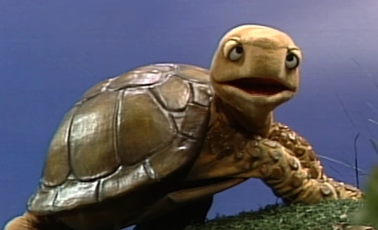 Shelley the Turtle | Fictional Characters Wiki | Fandom