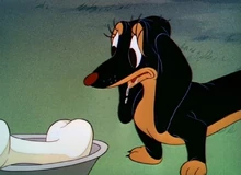 Dinah the Dachshund | Fictional Characters Wiki | Fandom