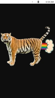 Giant Realistic Flying Tiger | Fictional Characters Wiki | Fandom