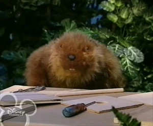 Jacques the Beaver | Fictional Characters Wiki | Fandom