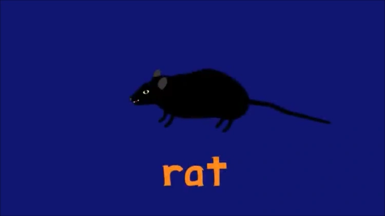 Rat (KidsTV123) | Fictional Characters Wiki | Fandom