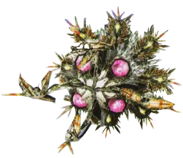 Aparoid Queen | Fictional Characters Wiki | Fandom