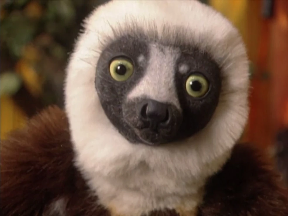Zoboomafoo Lemur The Zoboomafoo Wiki Fandom Zoboomafoo | The Kratt