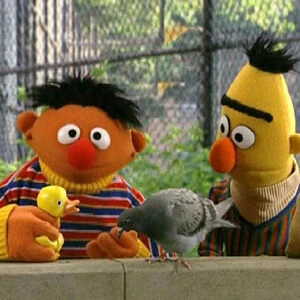 Sesame Street Bert Pigeon