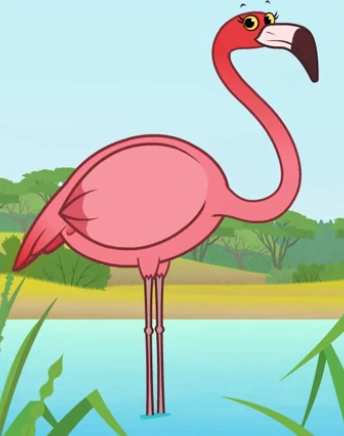 Flamingo (Little Fox: Meet the Animals) | Fictional Characters Wiki ...