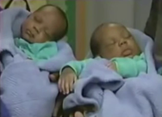 Kevin and Kyle | Fictional Characters Wiki | Fandom