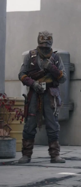 Trandoshans | Fictional Characters Wiki | Fandom