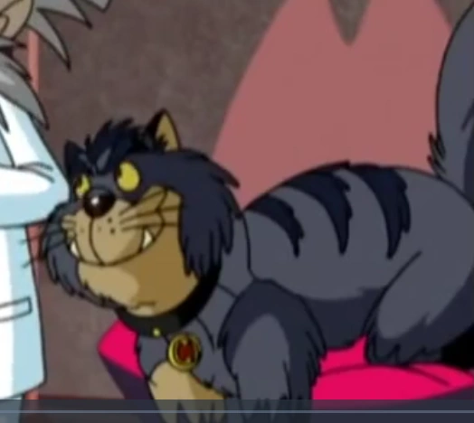 MAD Cat | Fictional Characters Wiki | Fandom