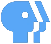 P head | Fictional Characters Wiki | Fandom