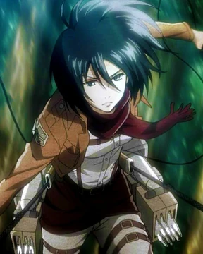 mikasa ackerman face shape