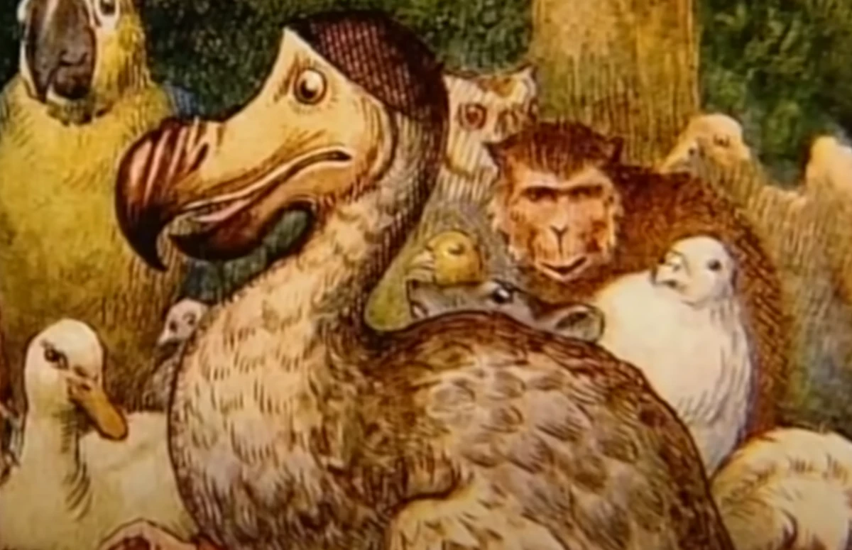 Dodo (Alice) | Fictional Characters Wiki | Fandom