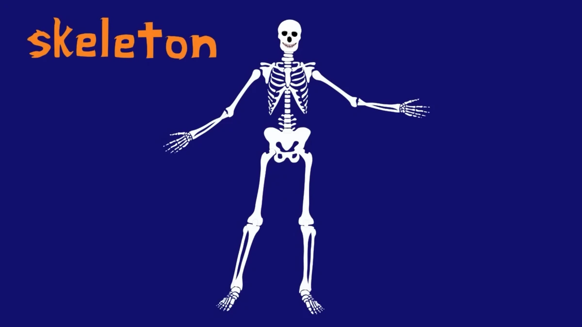 Skeleton (KidsTV123) | Fictional Characters Wiki | Fandom