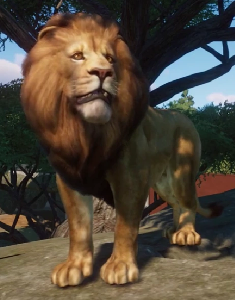 West African Lion | Fictional Characters Wiki | Fandom