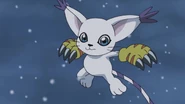 Gatomon | Fictional Characters Wiki | Fandom