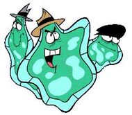 Amoeba Boys | Fictional Characters Wiki | Fandom