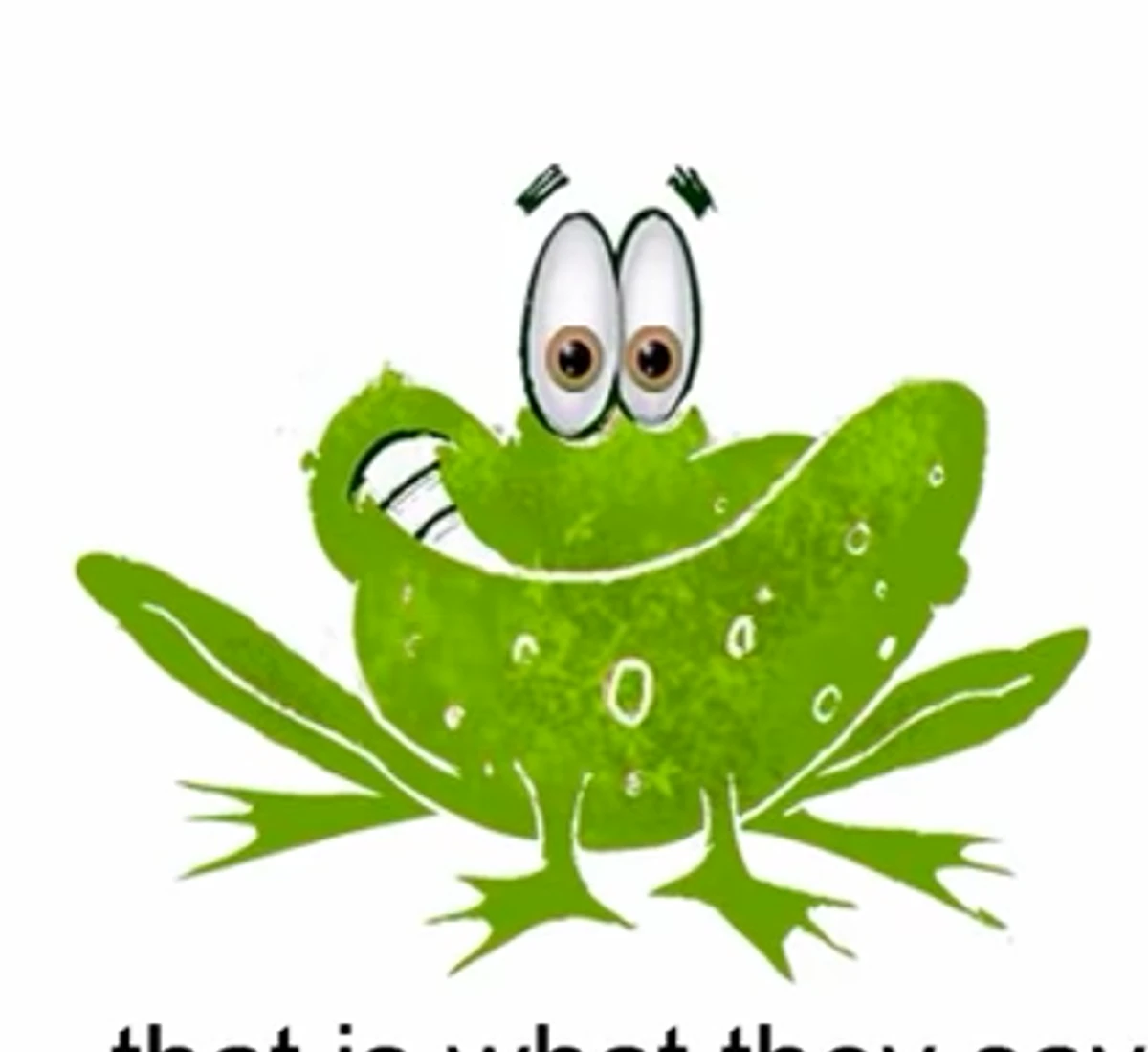 Frog (Braintofu) | Fictional Characters Wiki | Fandom