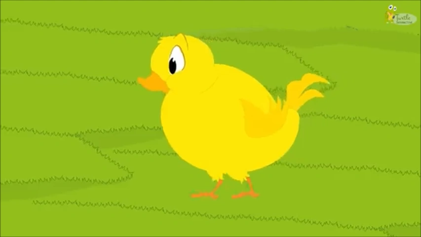 Fat Duck (Turtle Interactive) | Fictional Characters Wiki | Fandom