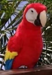 Parrot Puppeteer | Fictional Characters Wiki | Fandom