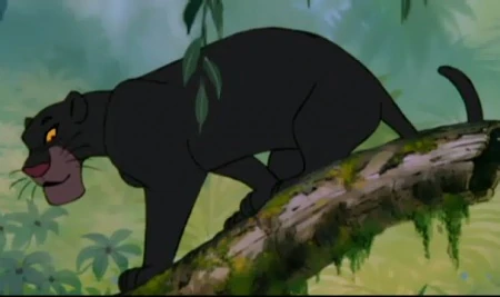 Bagheera | Fictional Characters Wiki | Fandom