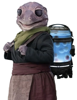 Frog Lady | Fictional Characters Wiki | Fandom