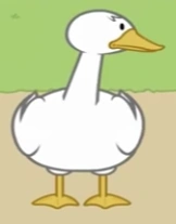 Fair Duck (Little Fox) | Fictional Characters Wiki | Fandom
