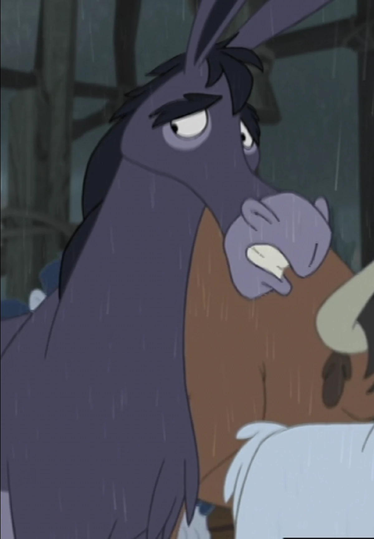 Donkey (Noah's Ark 2007) | Fictional Characters Wiki | Fandom