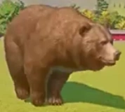 Grizzly Bear (Planet Zoo) | Fictional Characters Wiki | Fandom