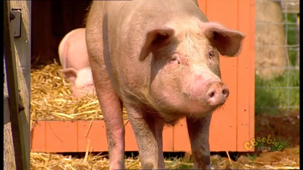 Mrs. Snuffles | Fictional Characters Wiki | Fandom