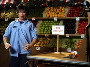 Nerville | Fictional Characters Wiki | Fandom