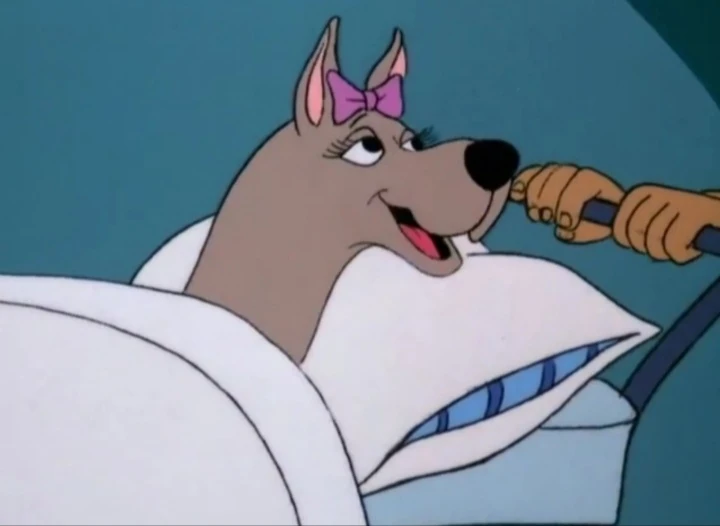 Ruby-Doo | Fictional Characters Wiki | Fandom