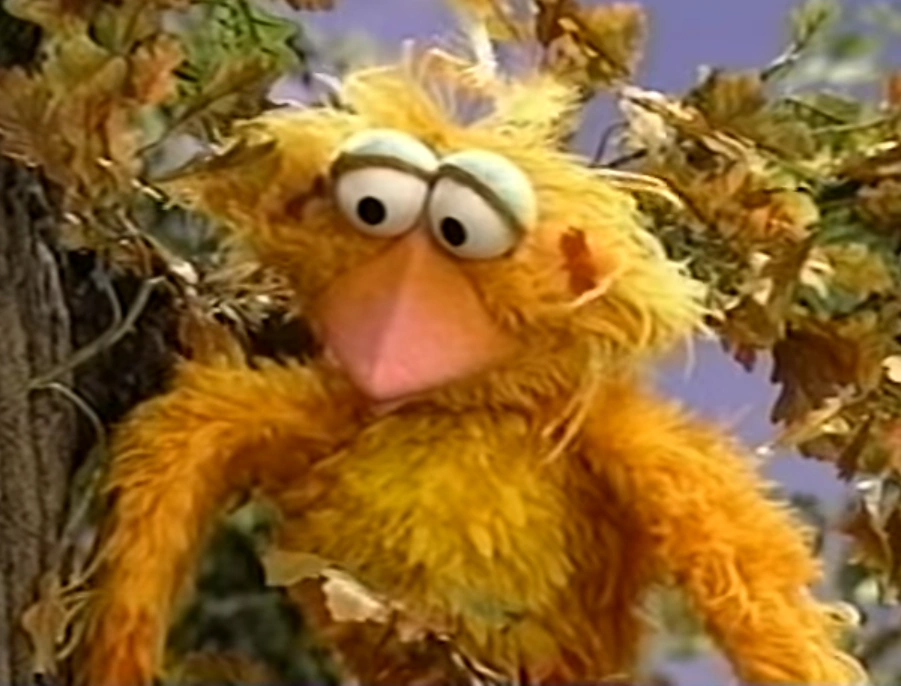 Zoe Bird | Fictional Characters Wiki | Fandom