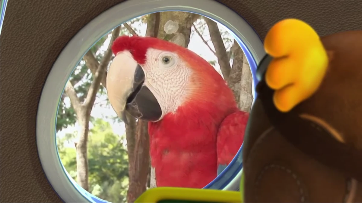 Parrot (Kemy Expedition) | Fictional Characters Wiki | Fandom