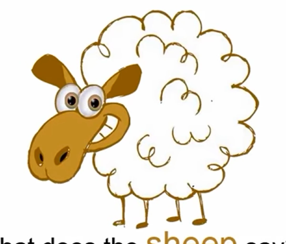 Sheep (Braintofu) | Fictional Characters Wiki | Fandom