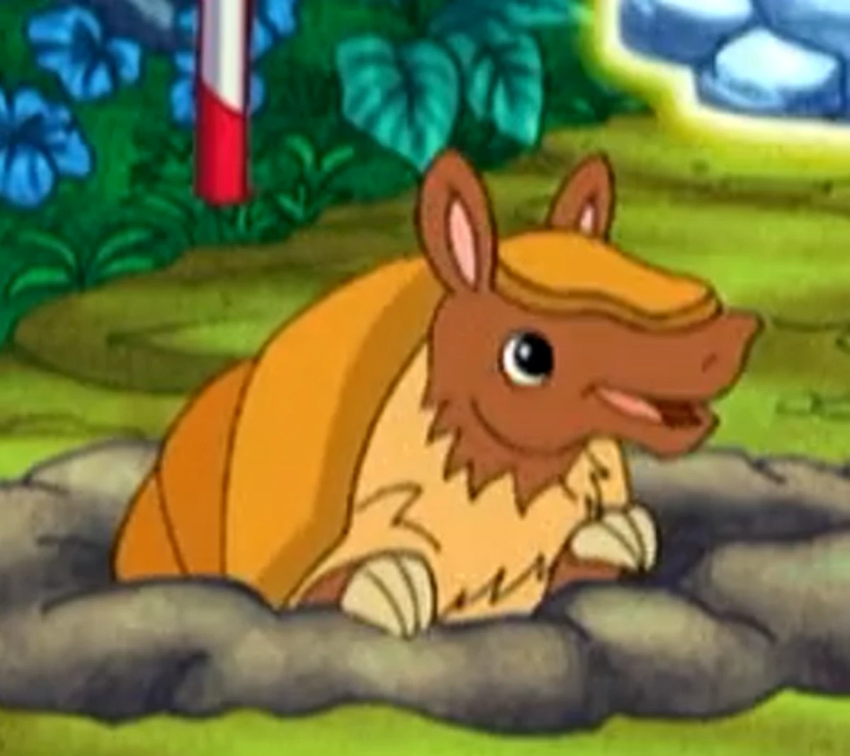 Armadillo (Go Diego Go) | Fictional Characters Wiki | Fandom