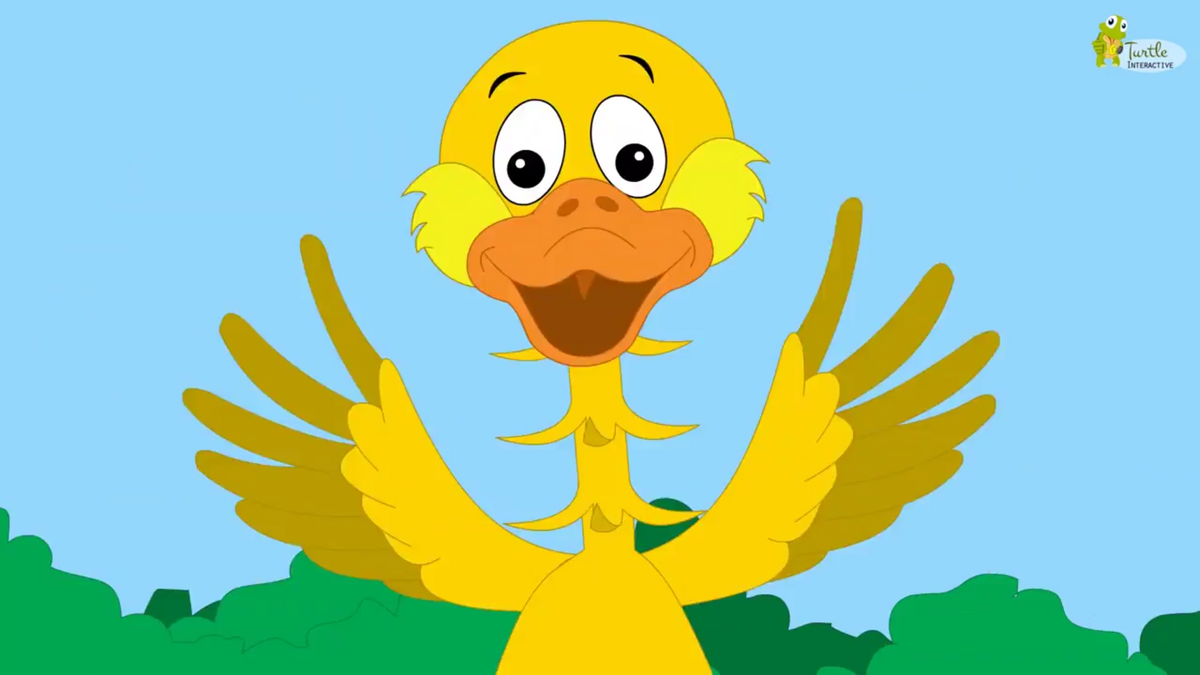 Duck (Turtle Interactive) | Fictional Characters Wiki | Fandom