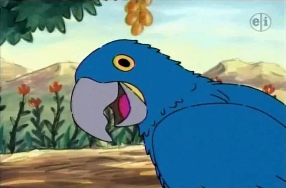 Macaw | Fictional Characters Wiki | Fandom